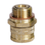 Click Drain Oil Plug - Femco